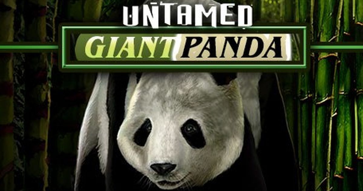 Untamed Giant Panda Slot Machine | Gioco Gratis e Bonus!